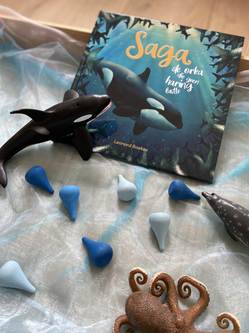 Saga de orka die geen haring lustte - Klas van juf Linda