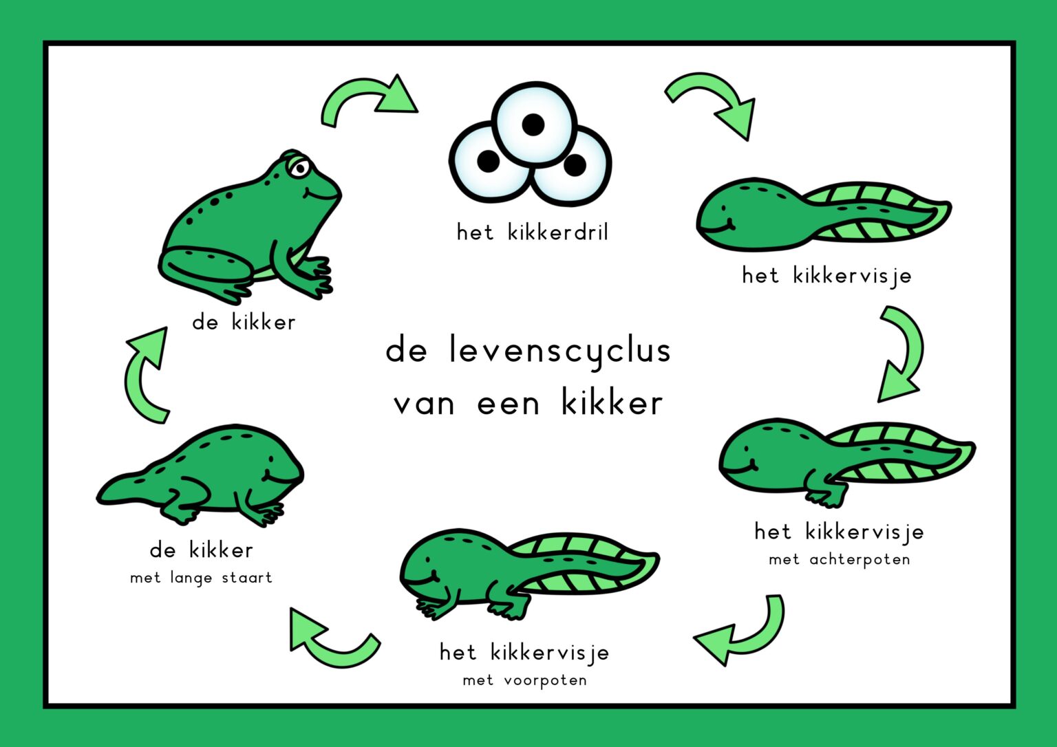 Natuurhoek kikker - Klas van juf Linda