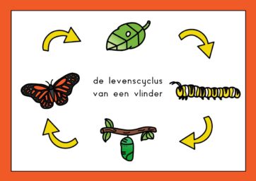 Natuurhoek vlinder - Klas van juf Linda
