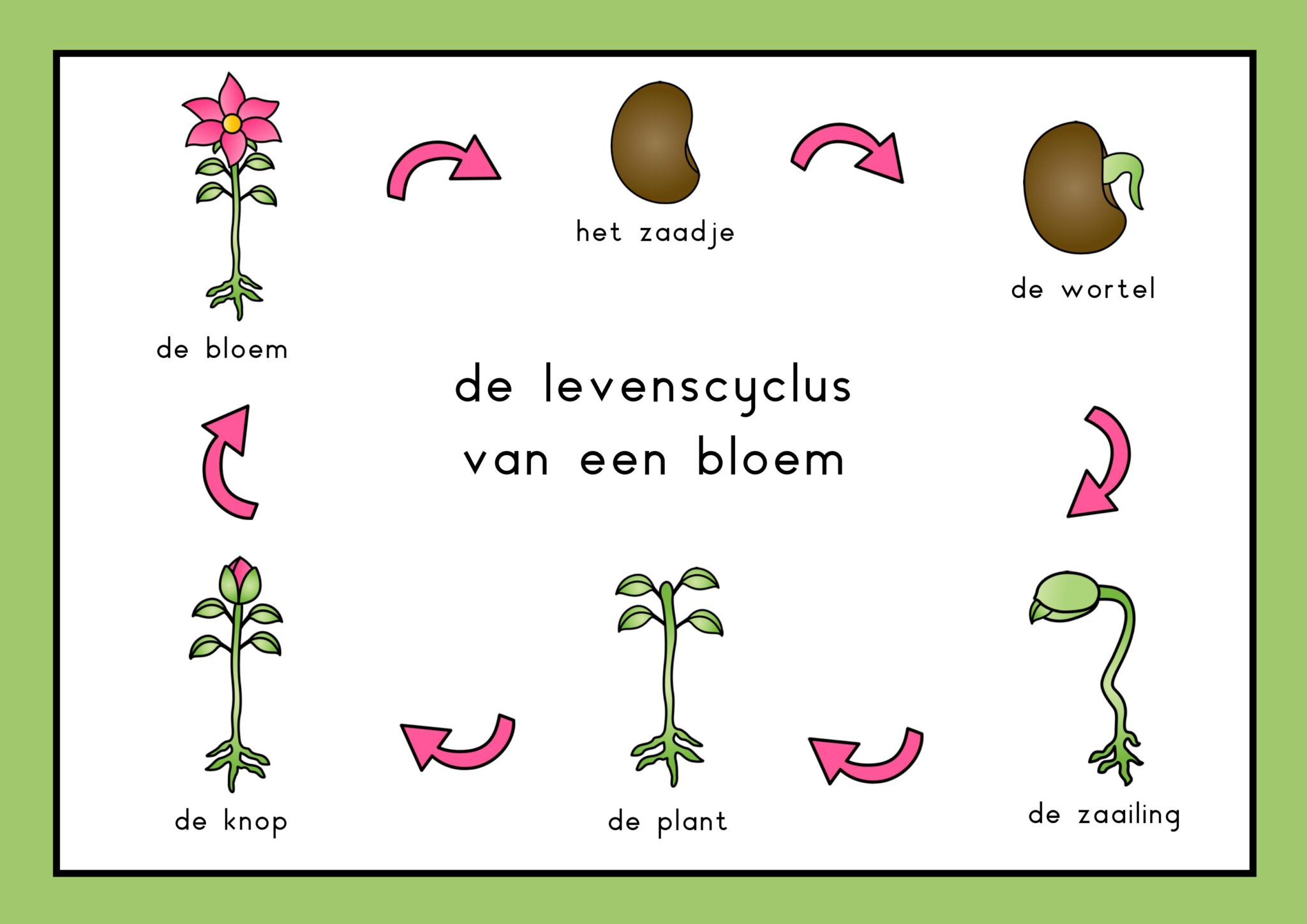 Natuurhoek bloem - Klas van juf Linda