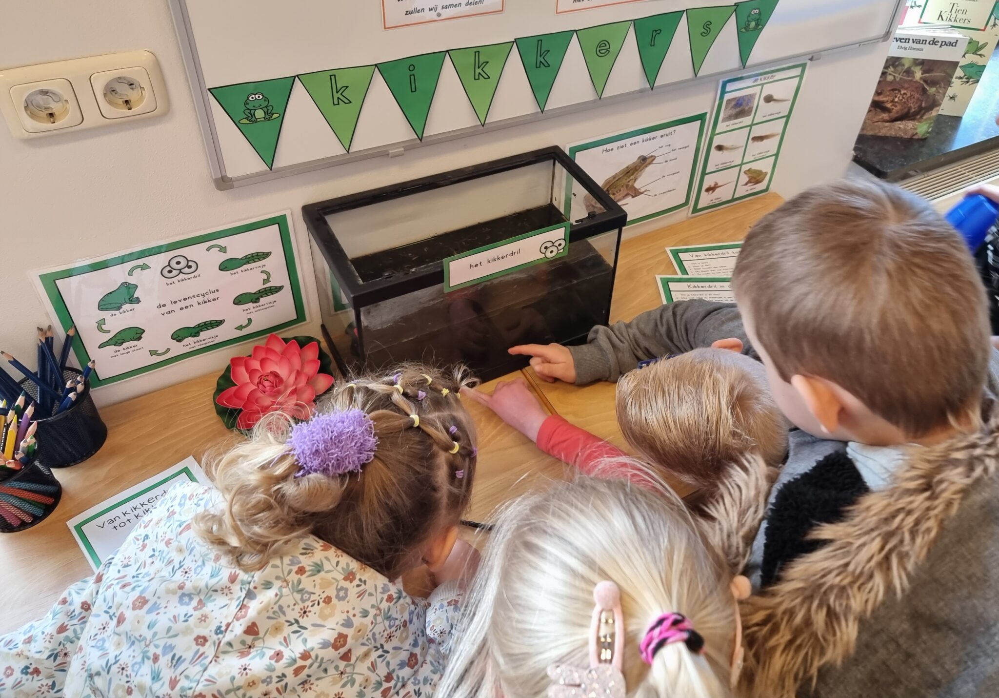 Kikkerdril in de klas - Klas van juf Linda