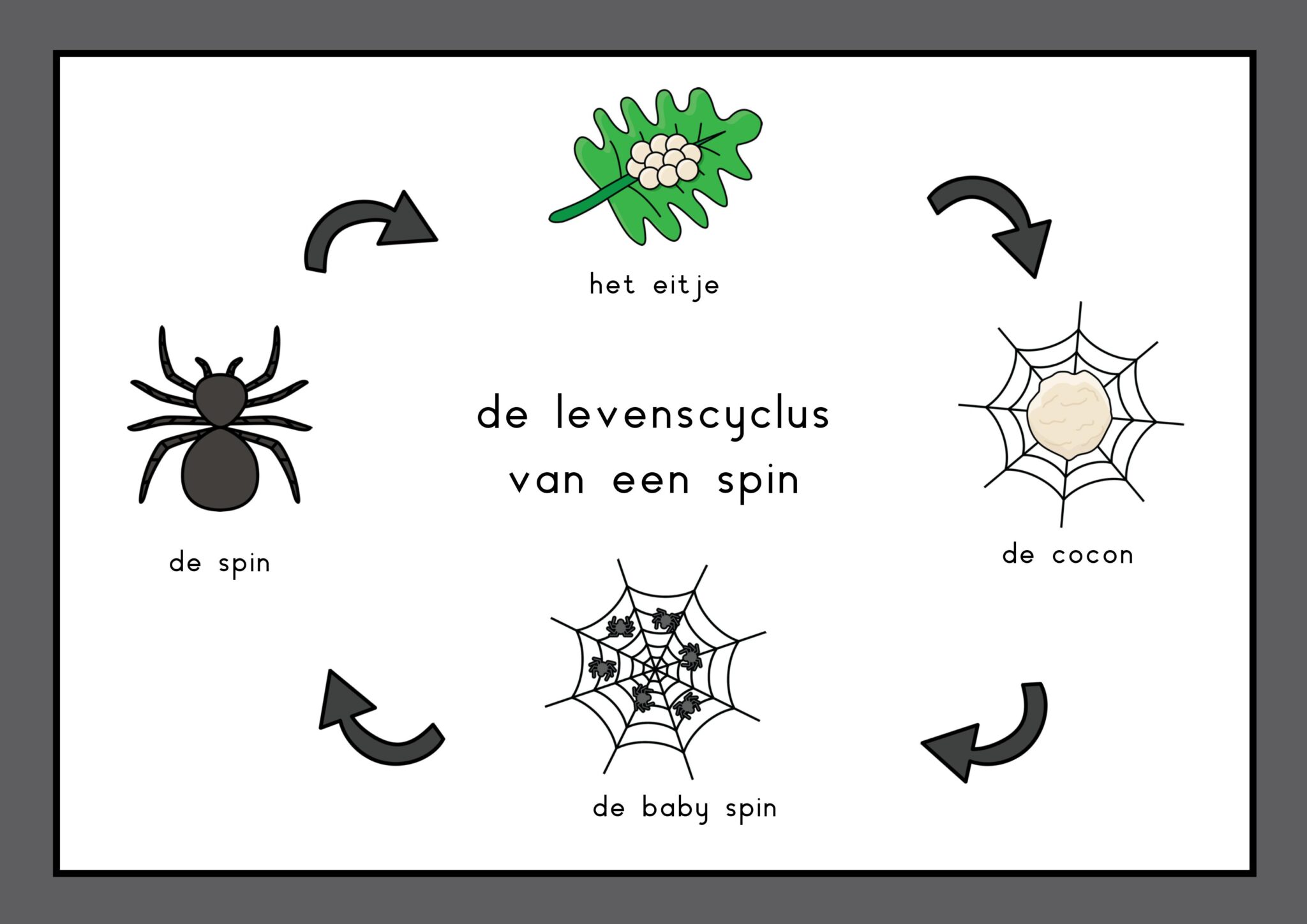 Natuurhoek spin - Klas van juf Linda