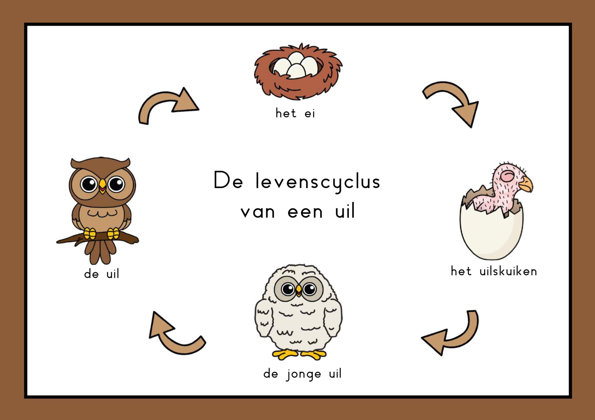 Natuurhoek uil - Klas van juf Linda