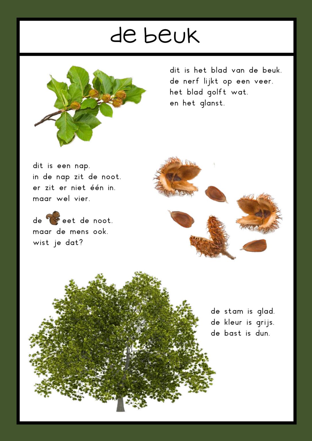 Teksten bomen - Klas van juf Linda