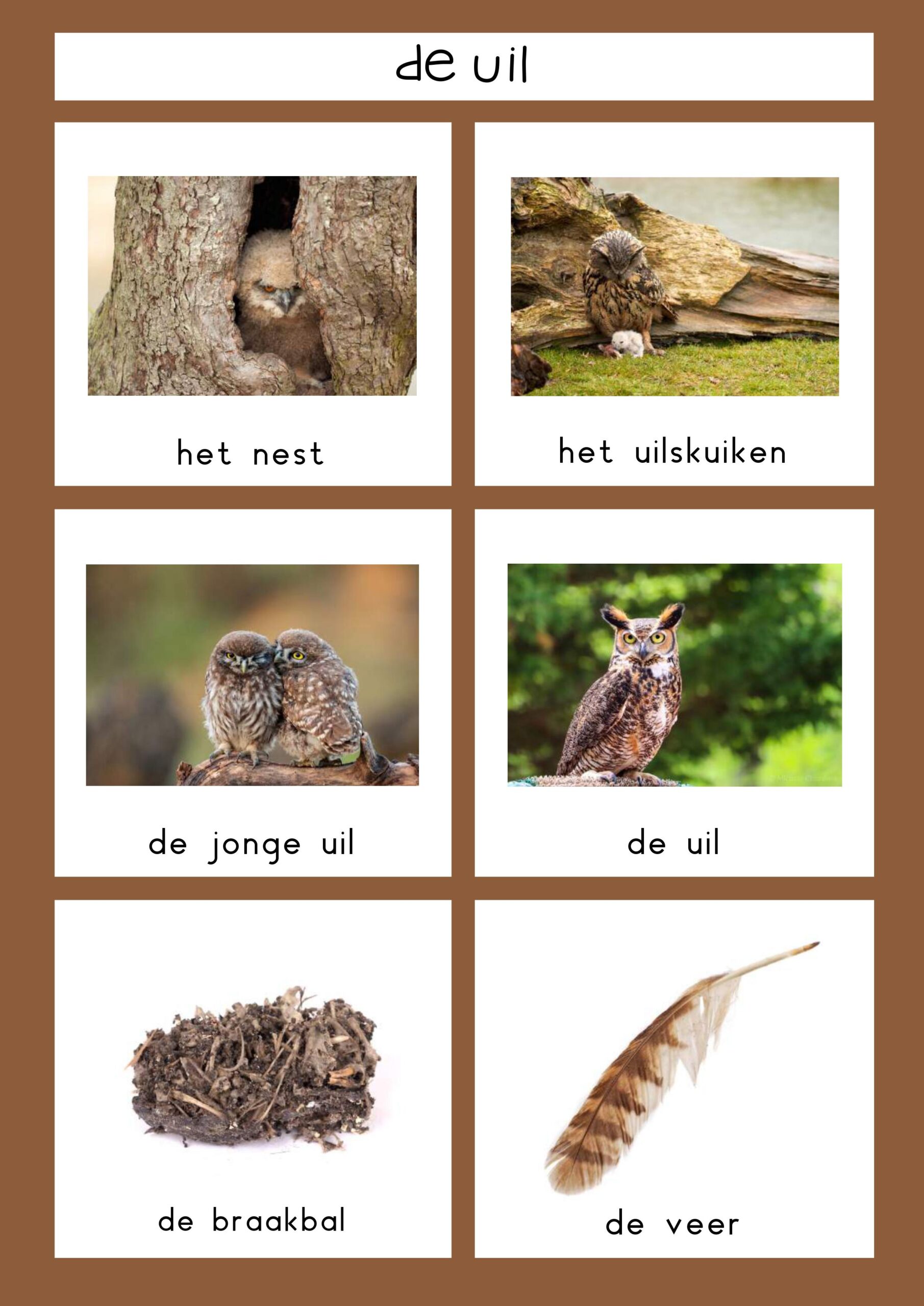 Natuurhoek uil - Klas van juf Linda