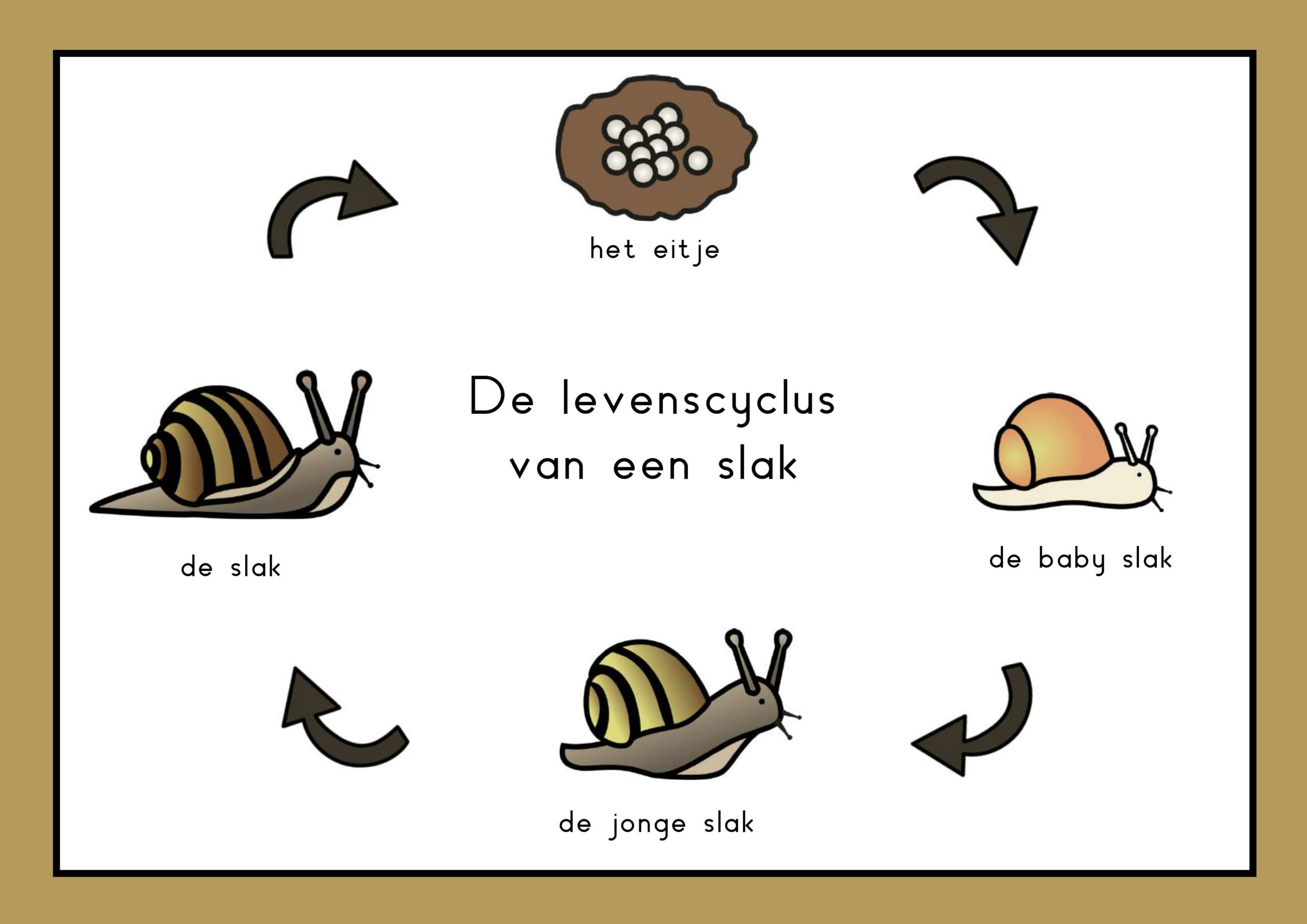Natuurhoek slakken - Klas van juf Linda