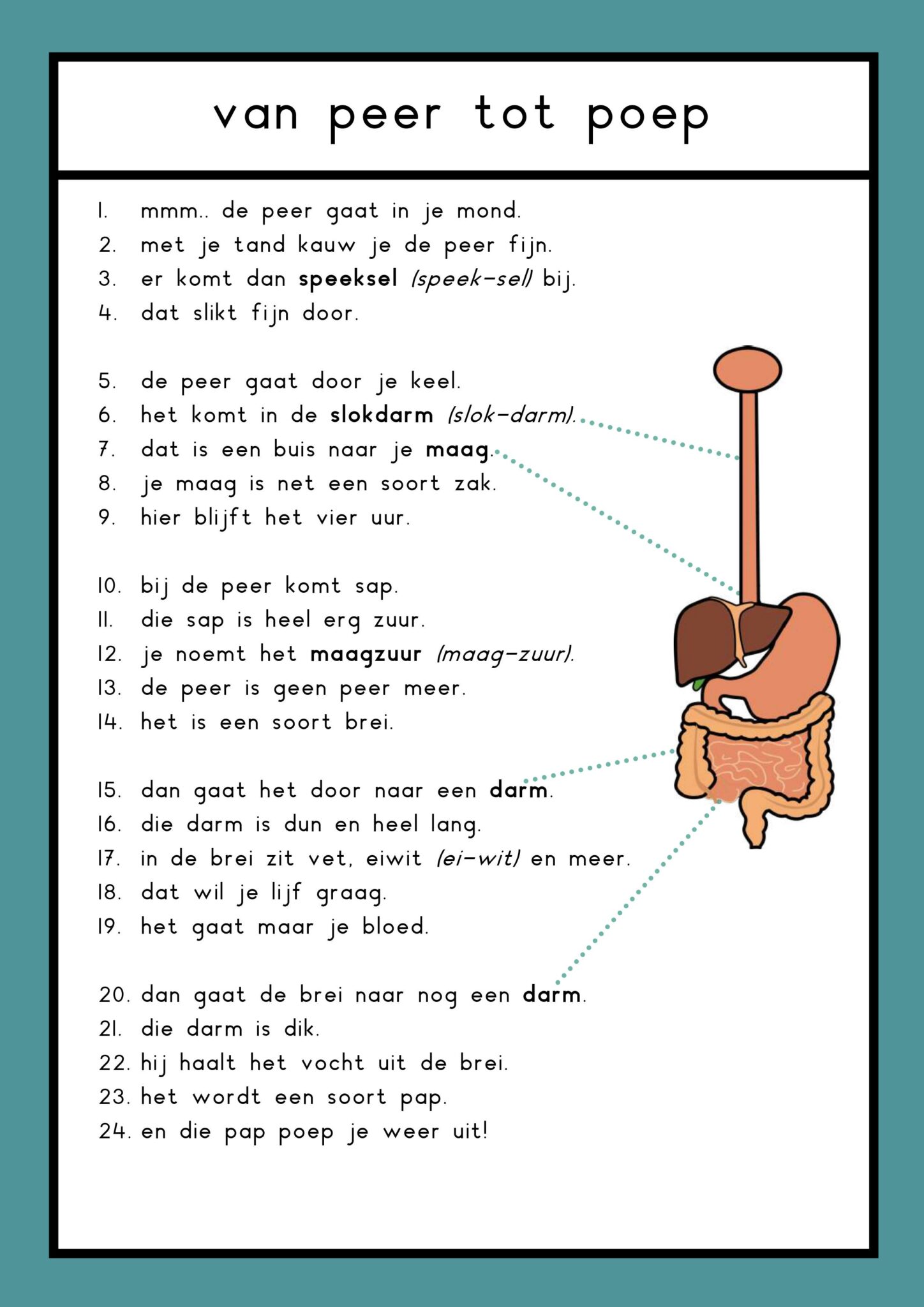 Teksten mijn lijf - Klas van juf Linda