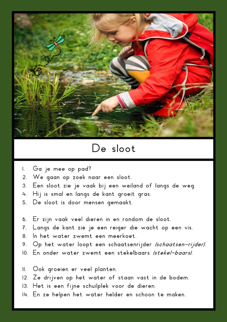 Teksten de sloot - Klas van juf Linda