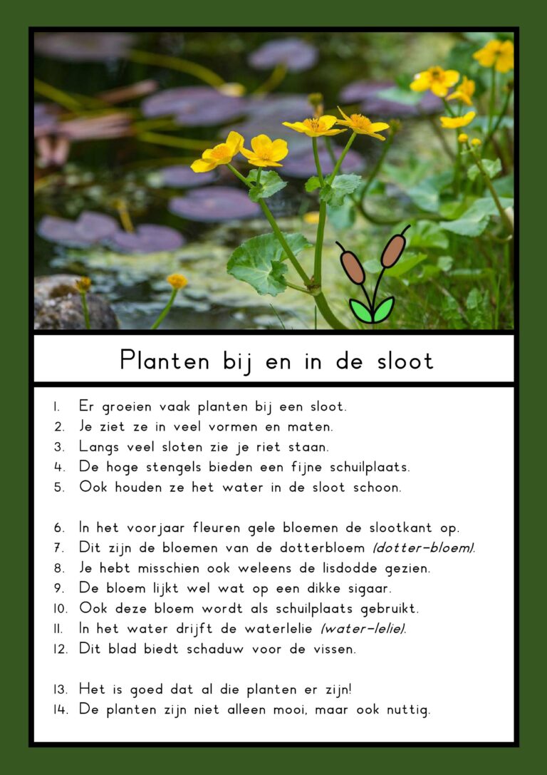 Teksten de sloot - Klas van juf Linda