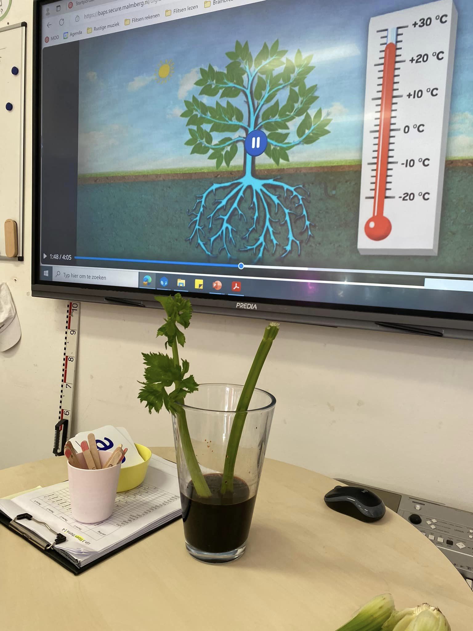 Leesteksten over bomen (in de herfst) - Klas van juf Linda