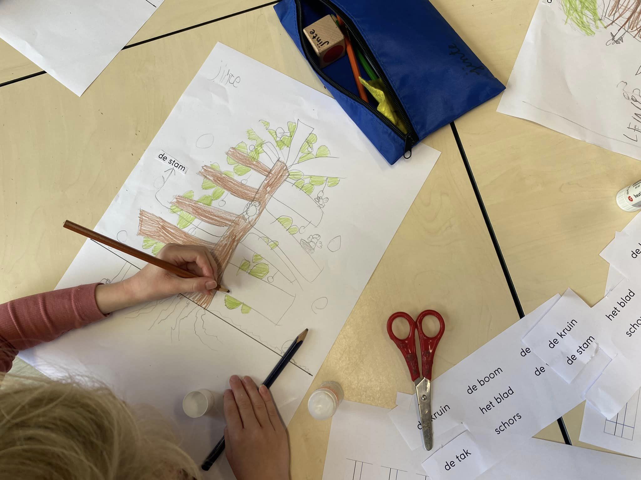 Leesteksten over bomen (in de herfst) - Klas van juf Linda